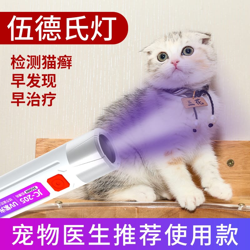 Original Handheld LED Money Detector – Khushnood.pk